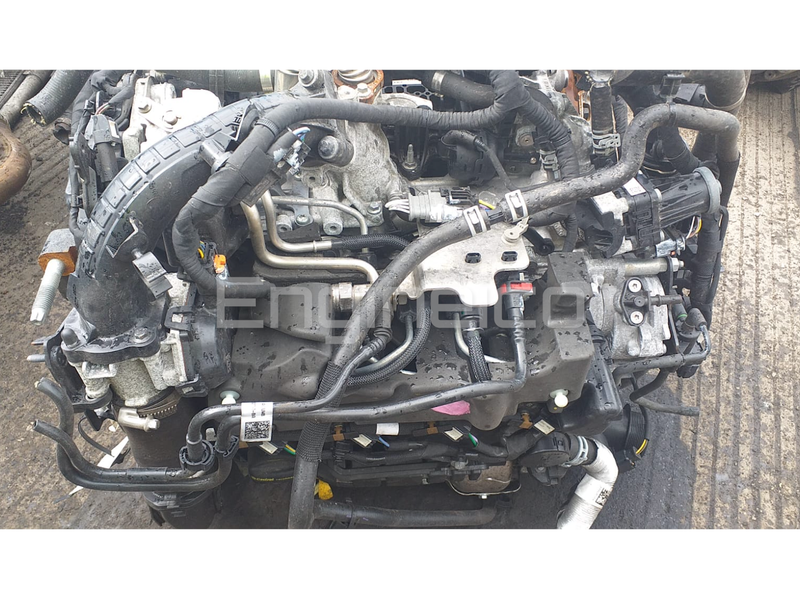 Ford Transit Connect 1.5 Diesel Engine code Z2GA - Engineico