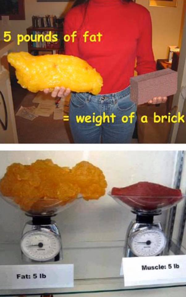 5lb fat = weight of a brick - My journey back to...