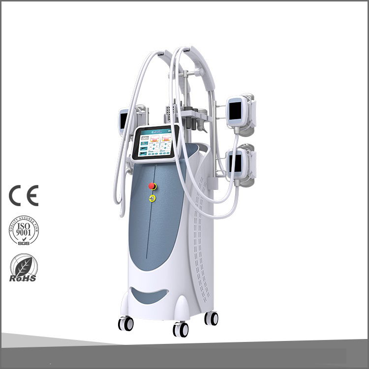 HS1000 A/B - Tegemed