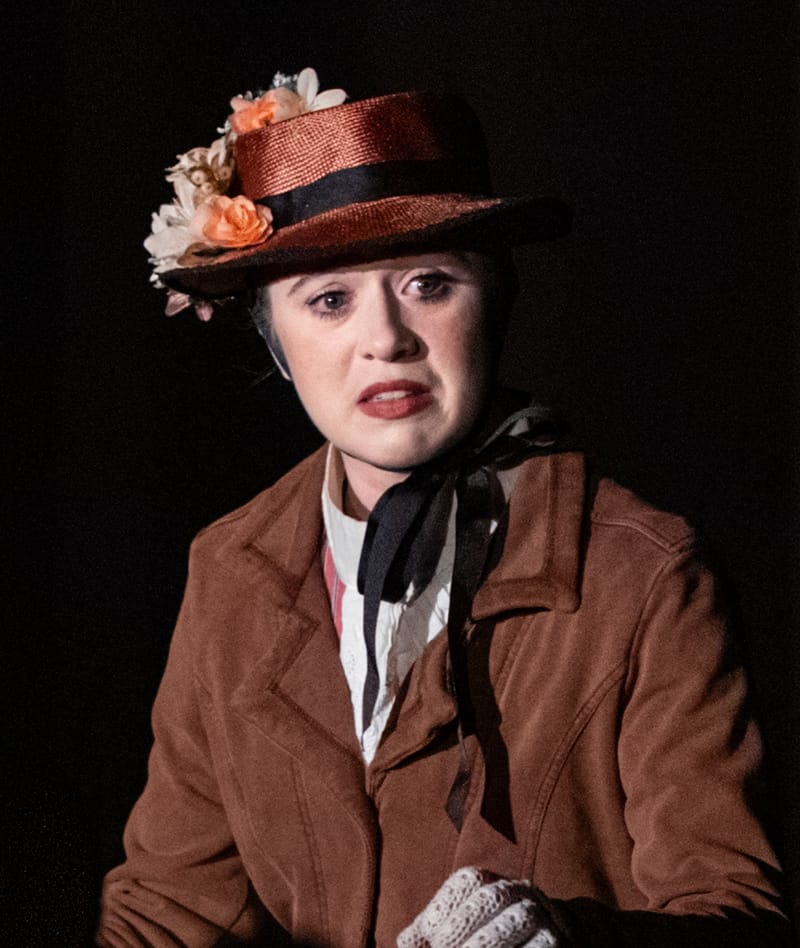 https://www.metrmag.com/latest-reviews/nellie-the-musical-by-robby-ste