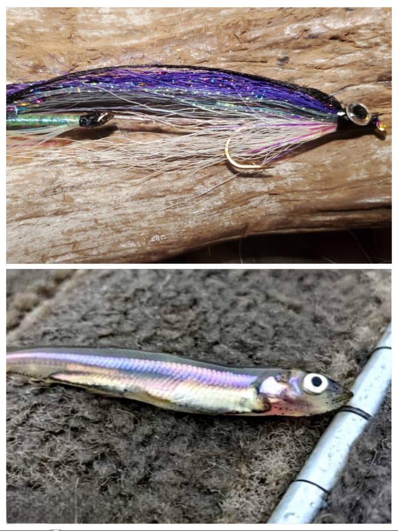 Rainbow Smelt - LAKESIDE FLIES