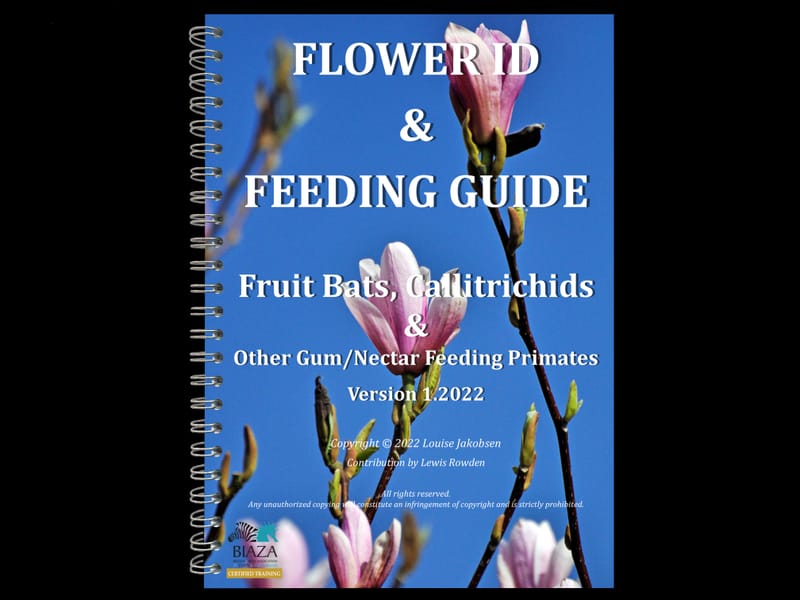 Browse Poster - Fruit Bat & Callitrichid Flower Booklet