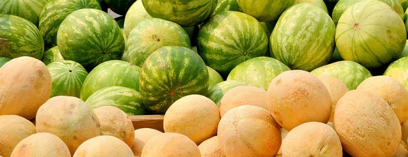 Melons - PRIME WEST HOLDINGS