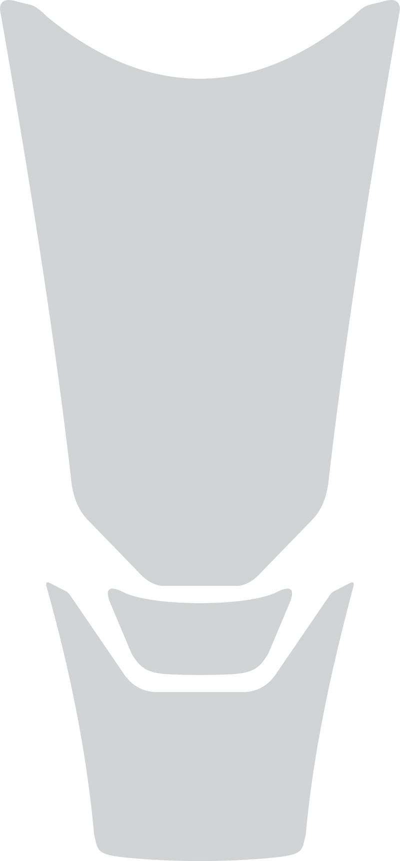 R1250RS TANK CUT - GRIPPER - RubbaTech.SA