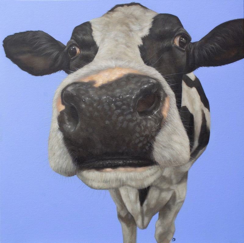 "The Cow over the River Kwai” - GALLERY 1608