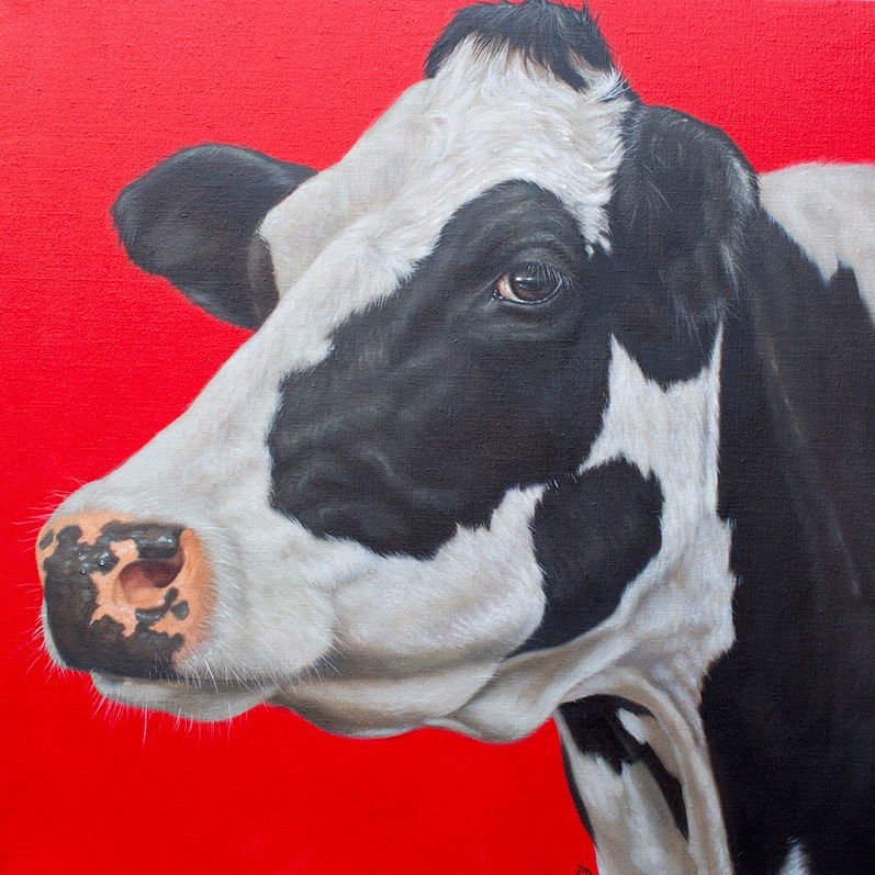 "El Paso Cow" - GALLERY 1608