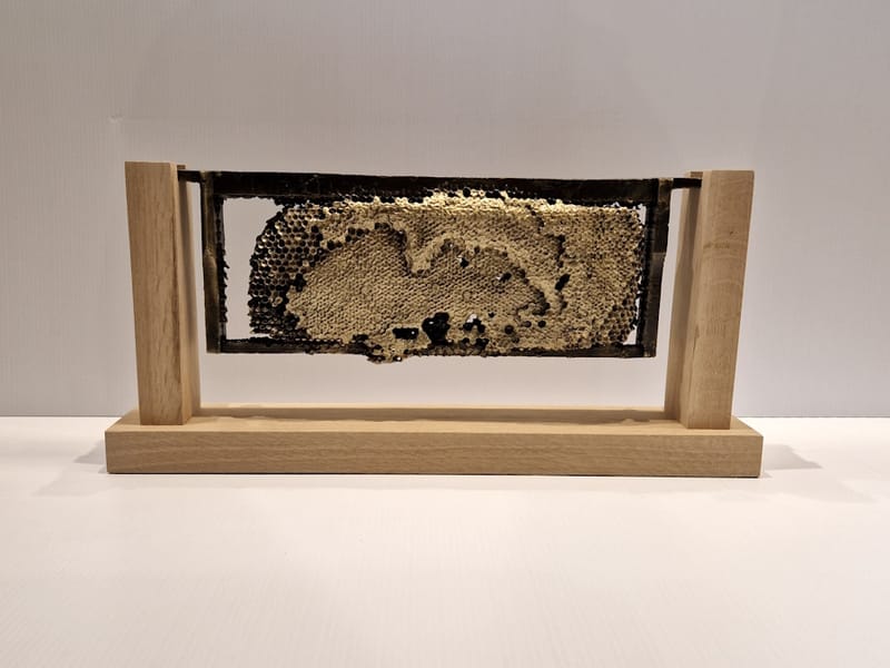 "The Super Frame" - GALLERY 1608