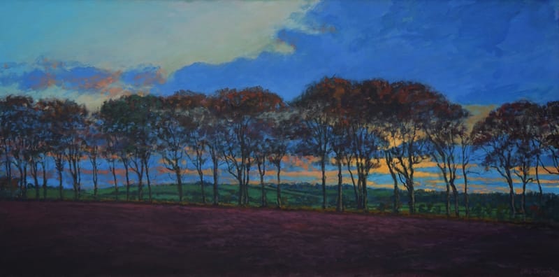 "Dervock Treeline" - GALLERY 1608
