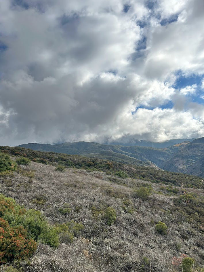 Q1 2024 Orange County Industrial Market Report