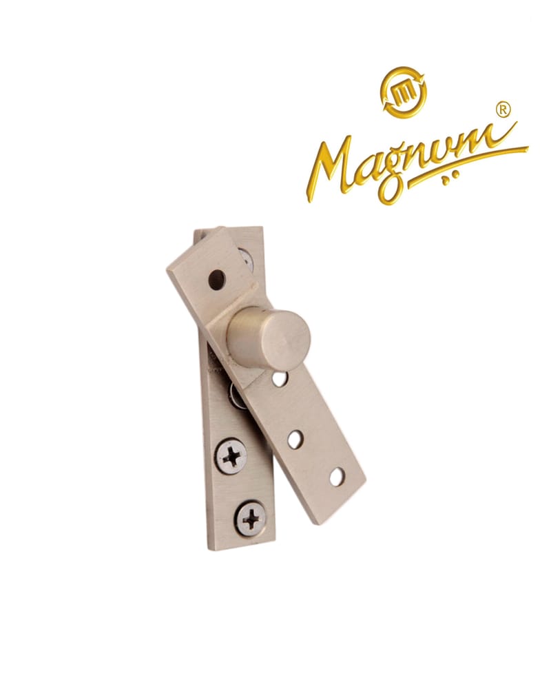 Side Ball Pivot Hinge - Raniyo (Pvt) Ltd