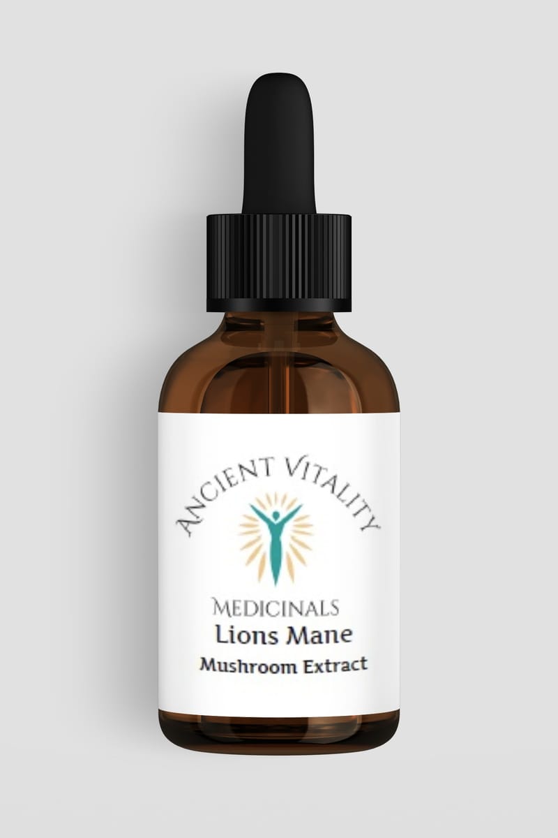 Lions Mane - Ancient Vitality Medicinals