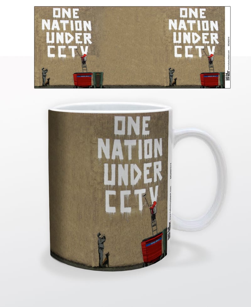 One Nation Under CCTV