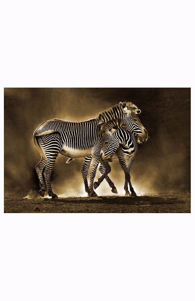 ANIMALS - Pyramid America