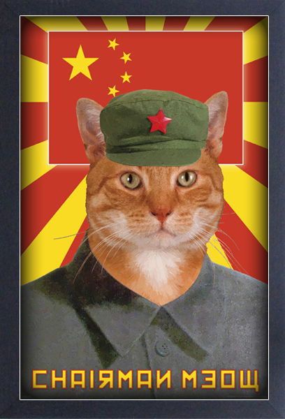 Chairman Meow