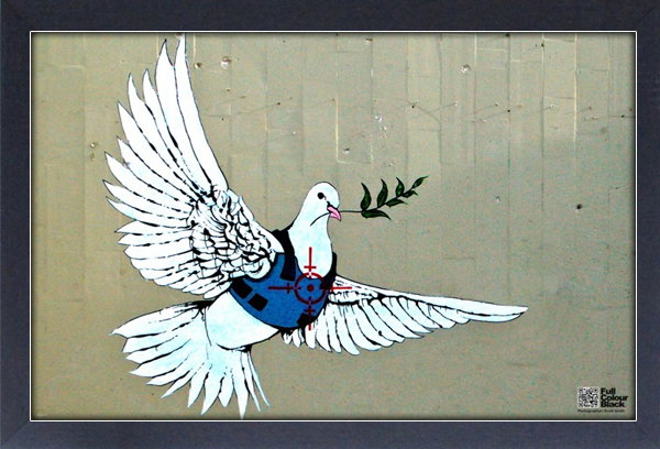 Bulletproof Dove