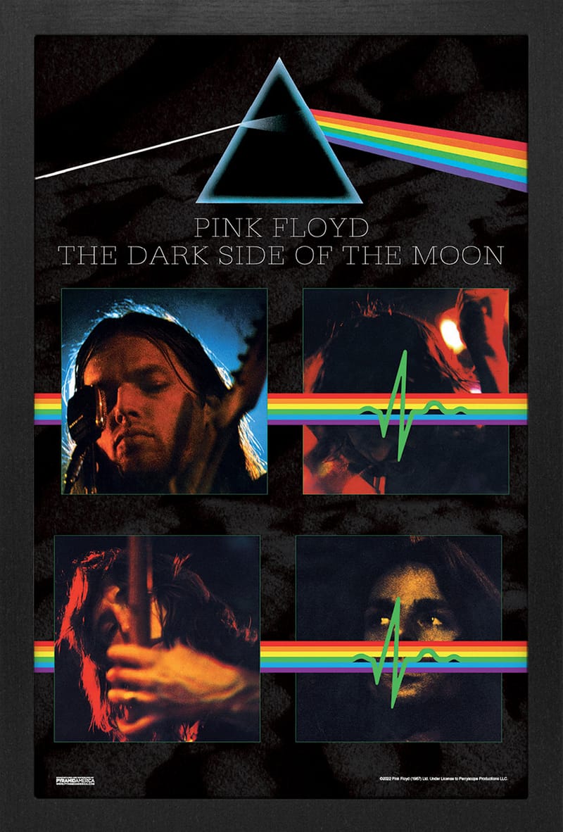 Pink Floyd - DSOTM Band Live