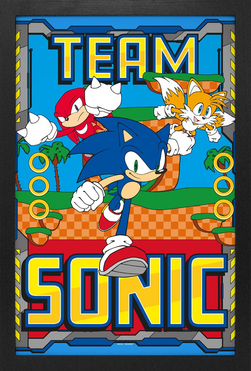 Sonic - Team Sonic