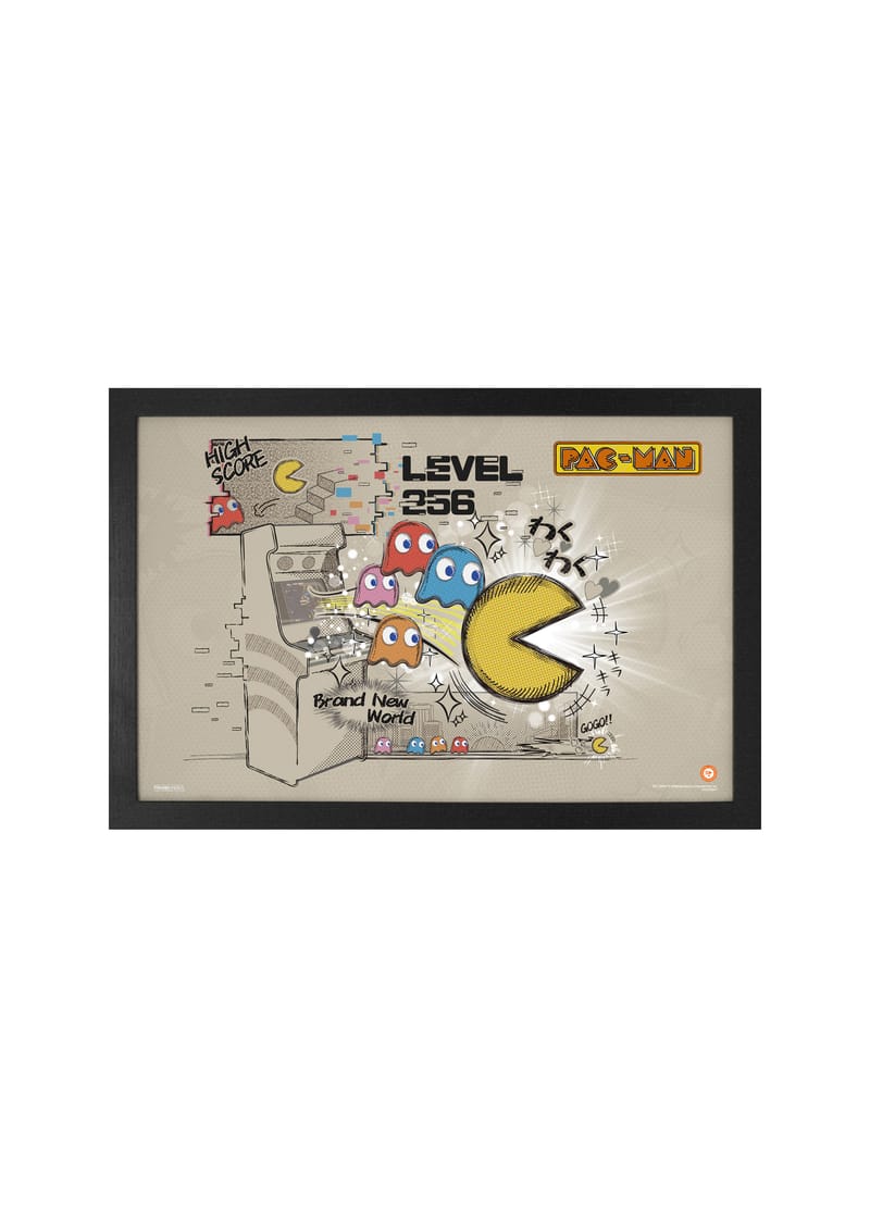 Pac-Man - Level 256
