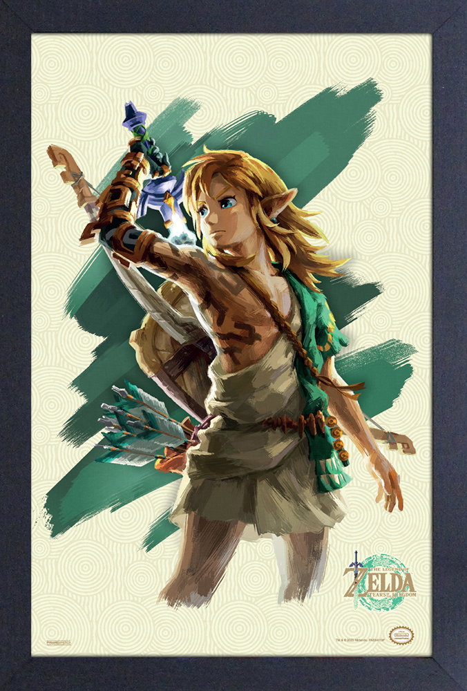 Zelda - TotK-Link with Sword