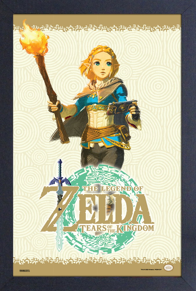 Zelda - TotK-Zelda Torch