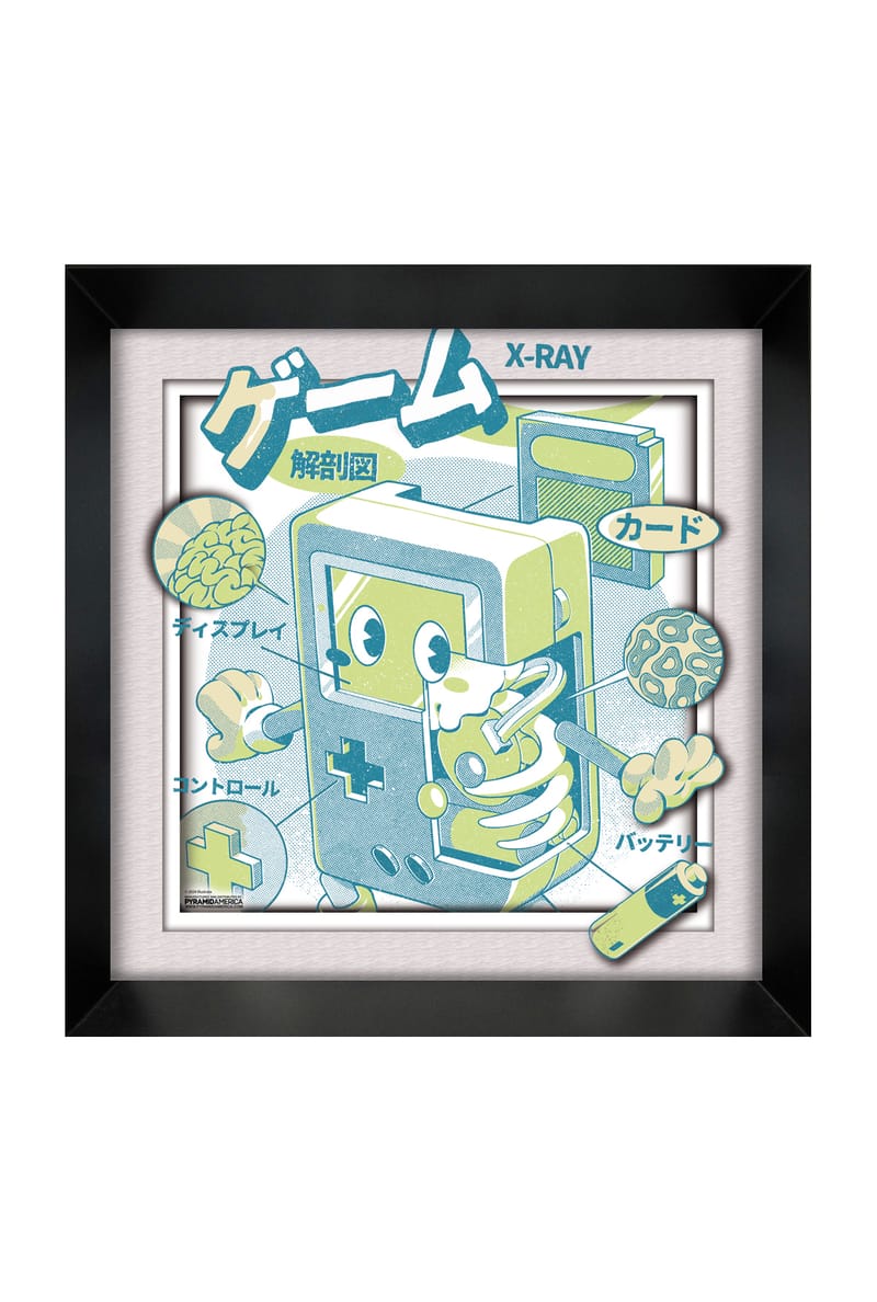 Ilustrata- Gameboy Anatomy
