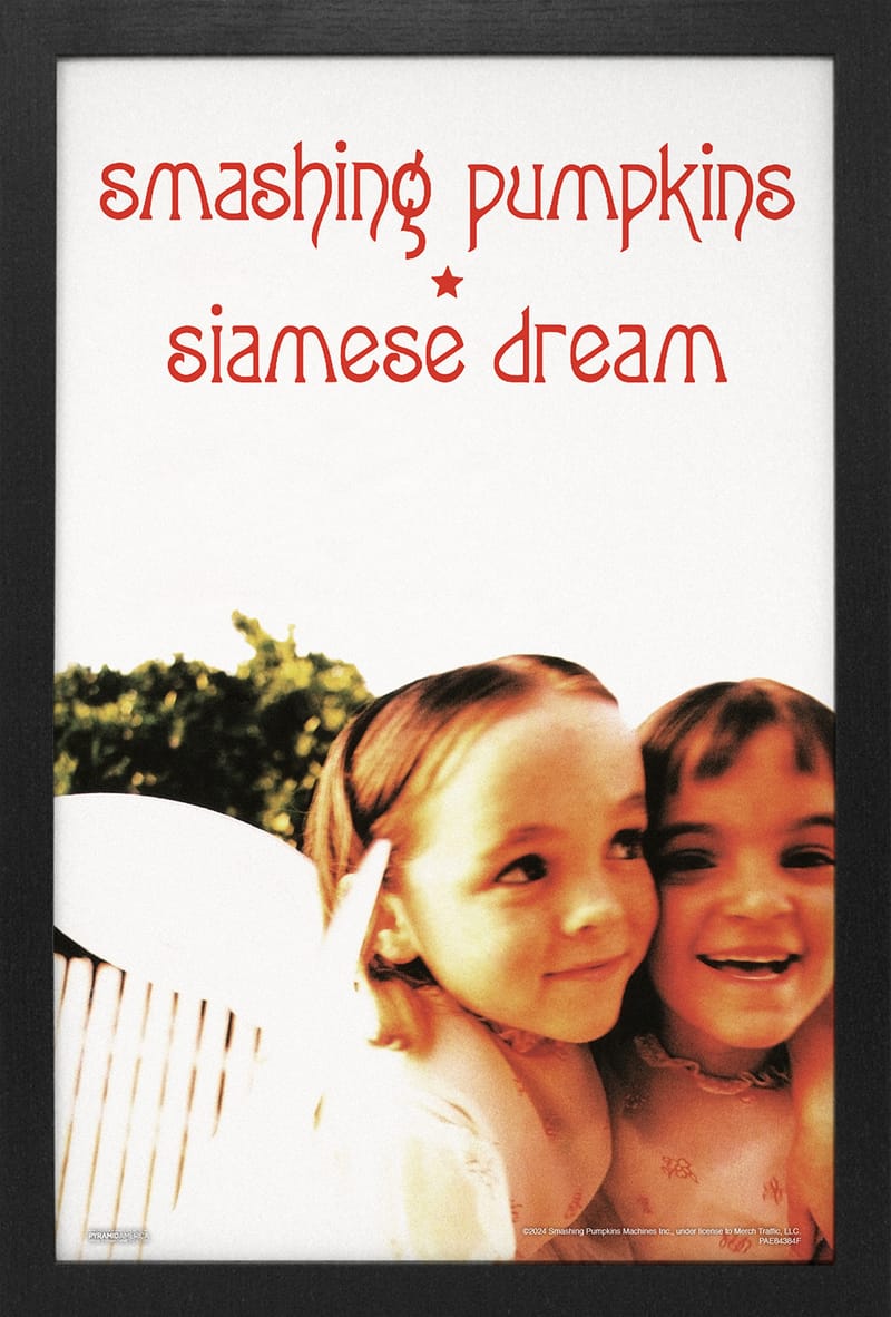 Smashing Pumpkins - Siamese Dream