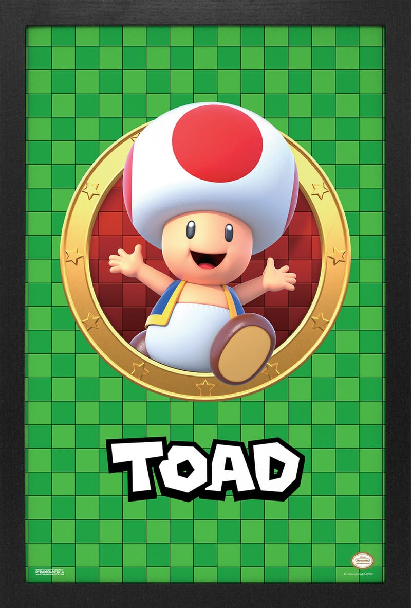 Super Mario- 3D Port- Toad