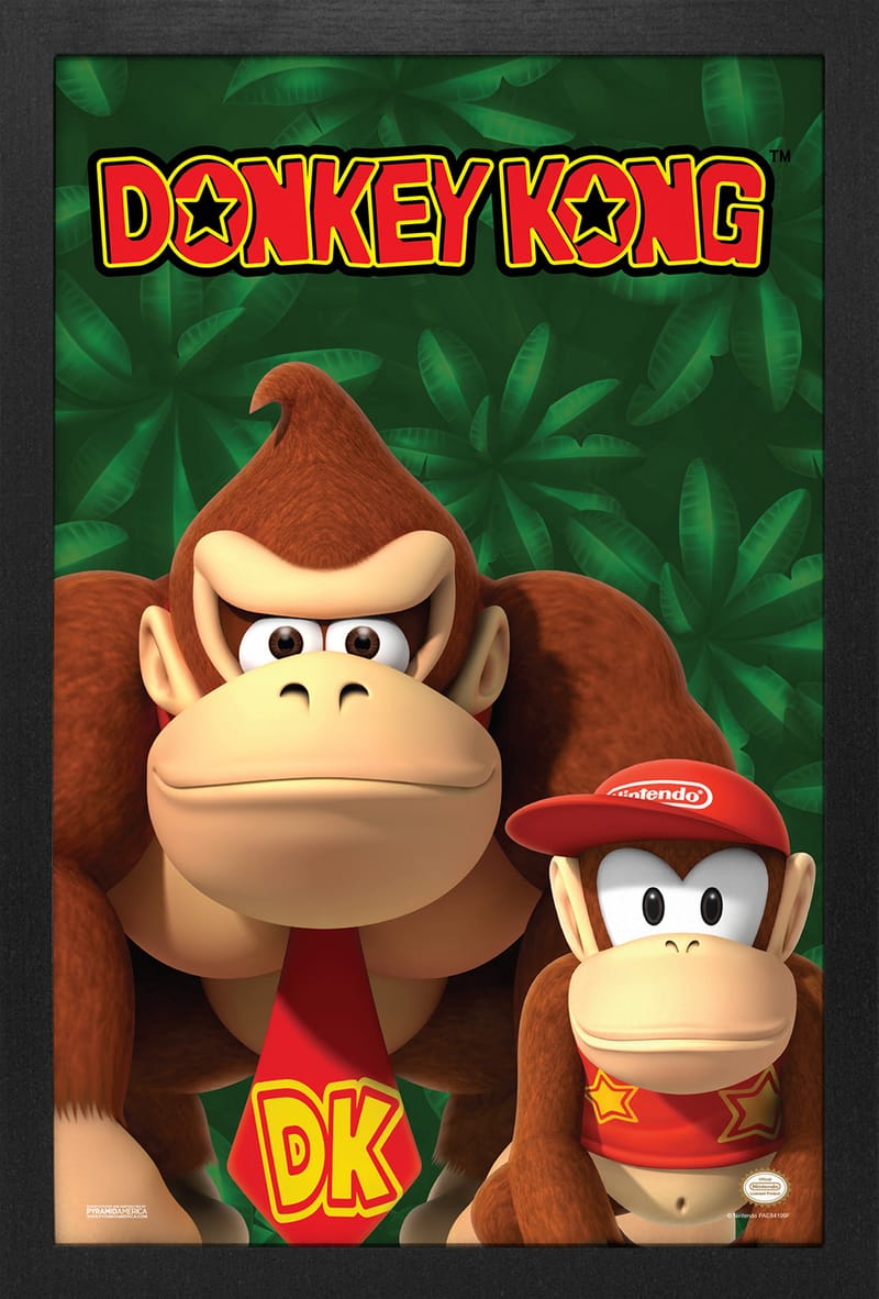 Donkey Kong - DK & Diddy Portrait
