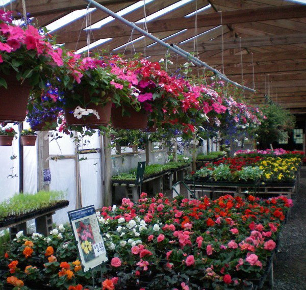 Garden Center Gallery - Schultz Garden Center