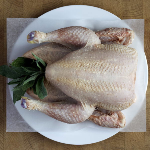 Roots organic chicken