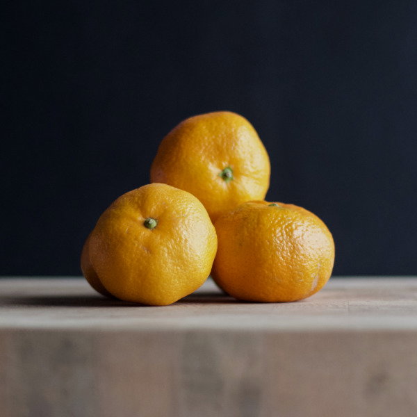 Citrus Fruit - Roots