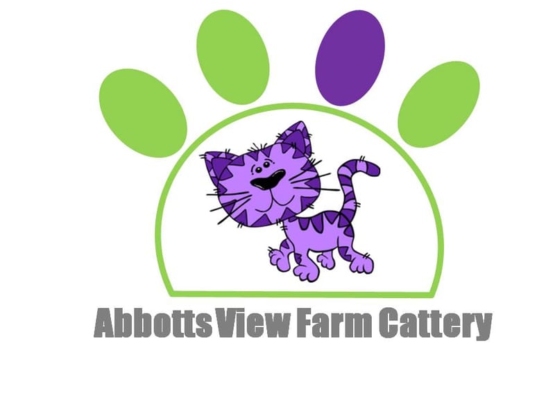 5 Star rated cattery in bucks near Leighton buzzard and aylesbury