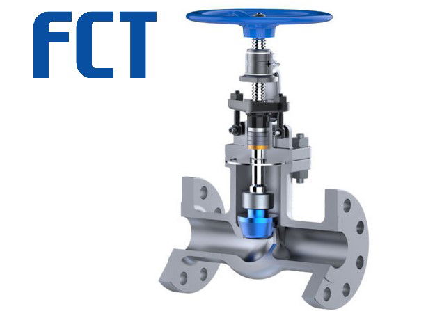 Valve Review: Globe Valve | FCT Valve