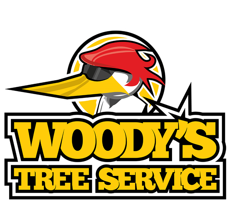 Woody's Tree Service / 540-488-9663 / Smith Mountain Lake / 30+ Years