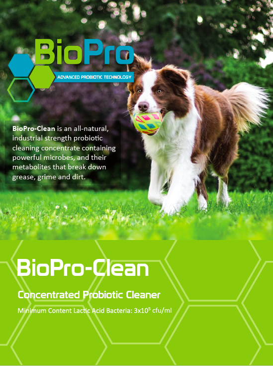 BioPro Clean - Dog Kennels - Radicle Group