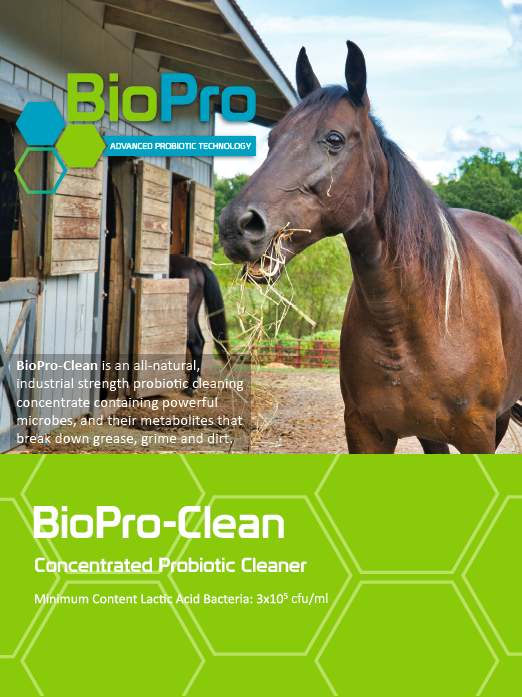 BioPro Cleaner - Radicle Group