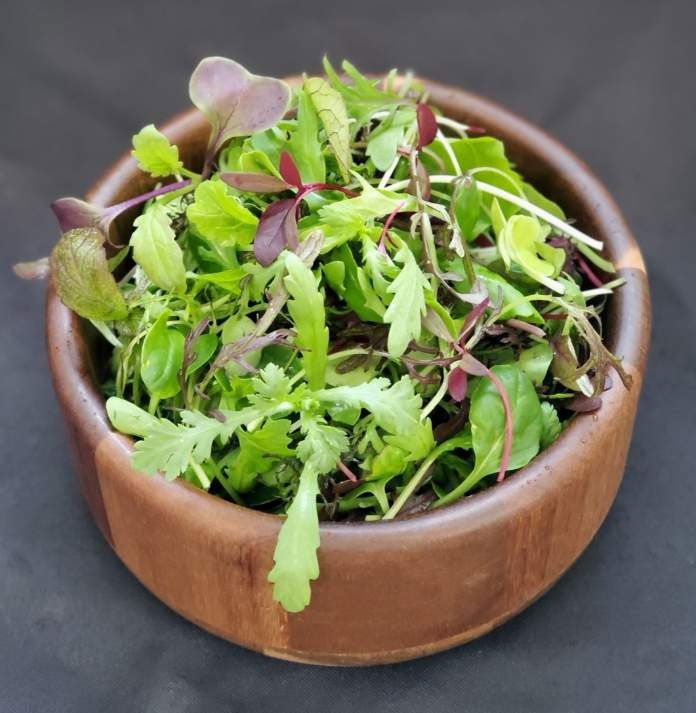 MICRO GREENS - Rooted Family Farm