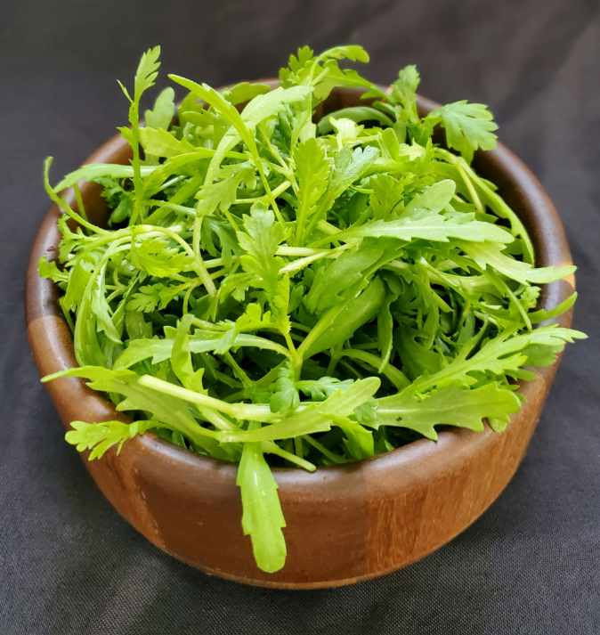 MICRO PURPLE RADISH SHOOTS - Rooted Family Farm