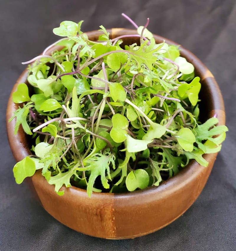 MICRO GREENS - Rooted Family Farm