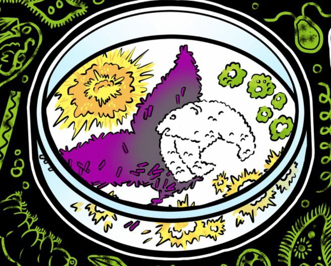 Build your own microbial zoo with a Winogradsky column! - Scientist ...