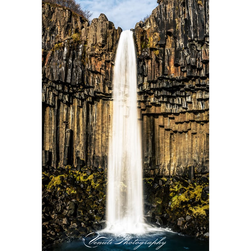 COLUMNS - James Venuti