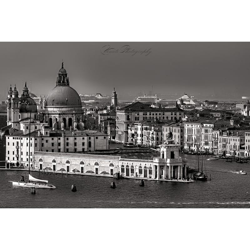 SANTA MARIA - James Venuti
