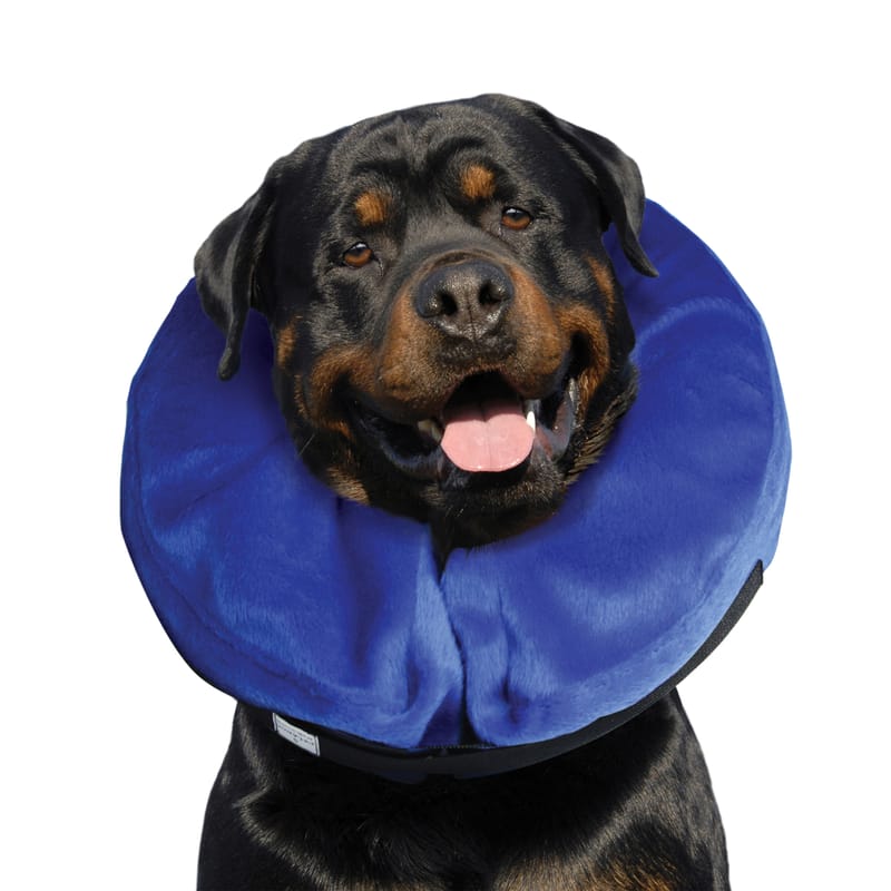 KONG - Collerette de protection gonflable pour chien