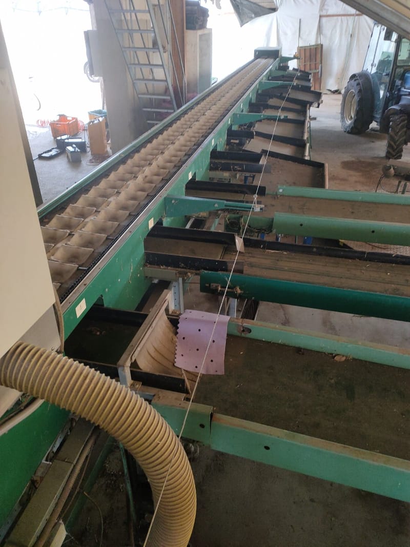 Greefa 2 lines Mse grading line apples