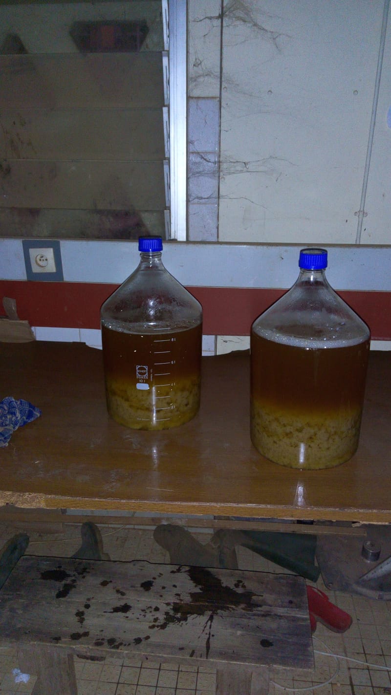 Optimisation of the Action of Commercial Mashing Enzymes on Wort ...