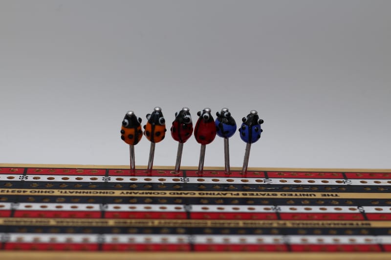 Lady Bug Cribbage Pegs - KRAZY KUSTOM CRIBBAGE PEGS (Since 2016)