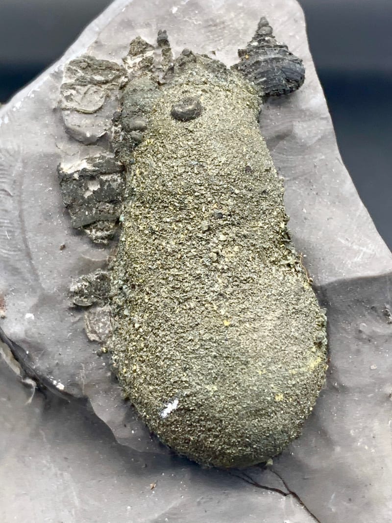 MARCASITA - MINERALPRIX