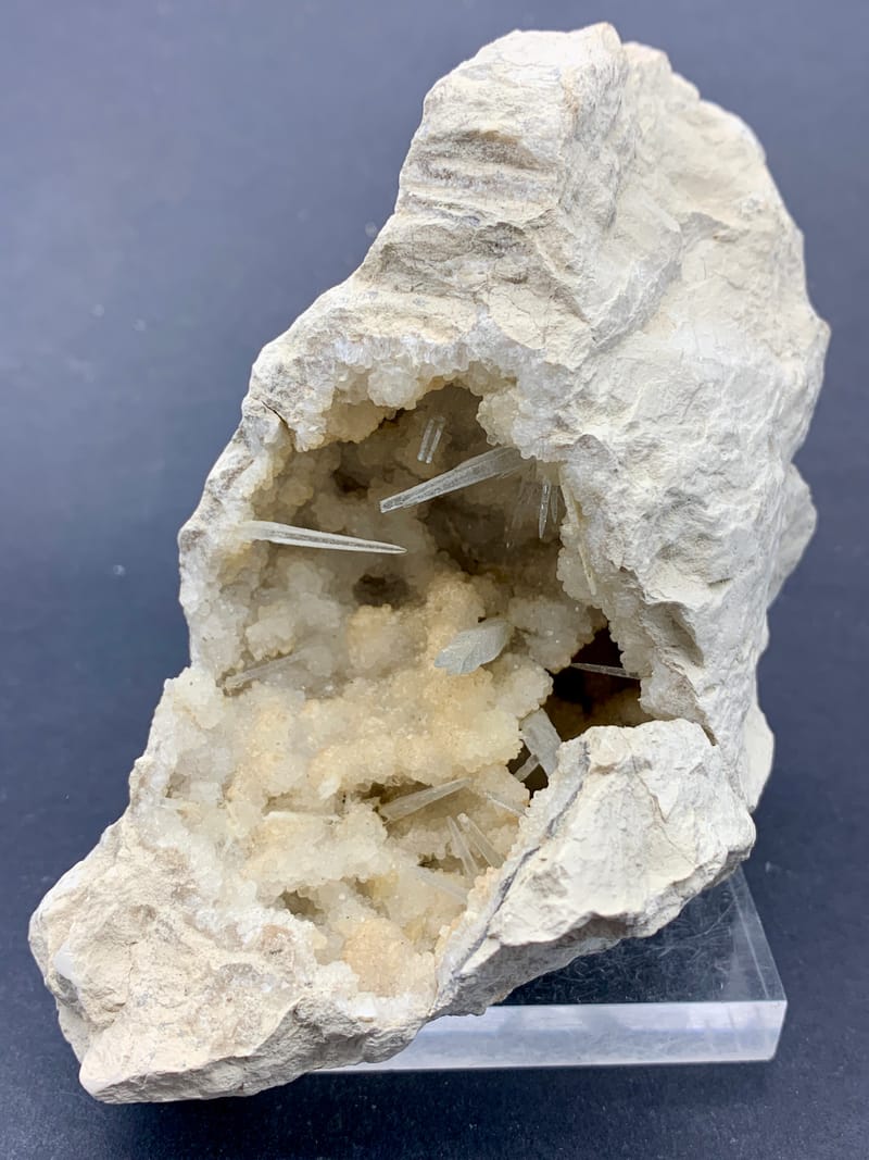 GEODA CELESTINA (TORA, LLEIDA)