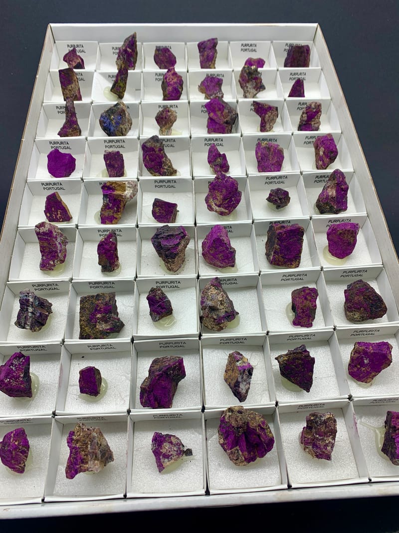 LOTE 54 PURPURITAS (PORTUGAL)