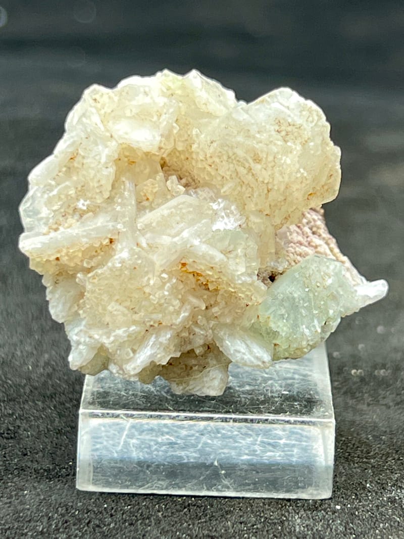 ESTILBITA (POONA, INDIA)